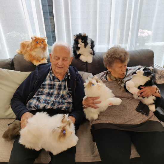 MetaCat Smart Interactive Robotic Cat | Dementia Shop Australia